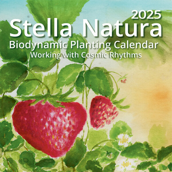 Calendar: The Maria Thun Biodynamic Almanac 2025 – Bio-dynamic Solutions