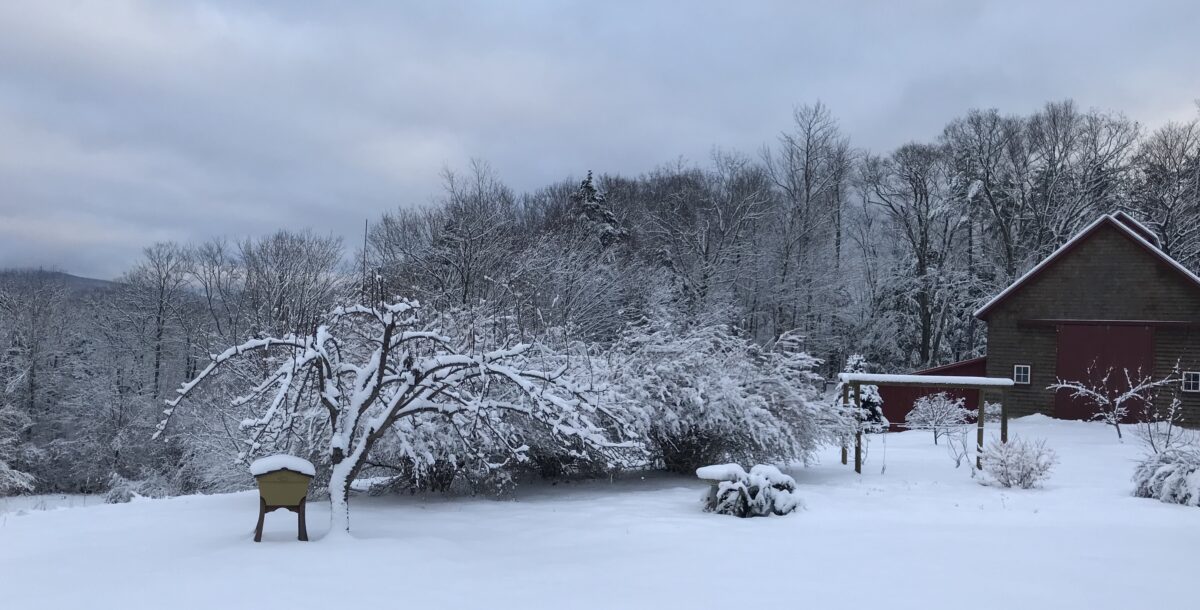 Winter Farm & Garden Meditations – Bio-dynamic Solutions